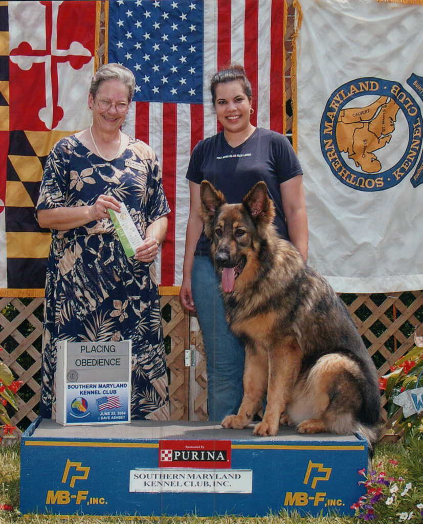 About Us - DW Dog Training