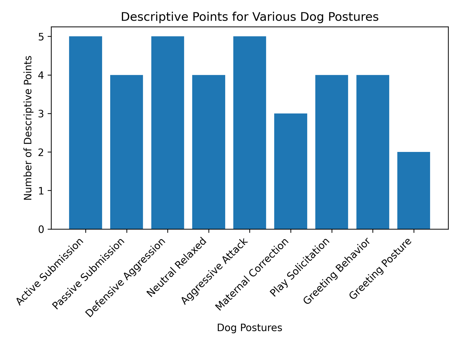Understanding Dog Body Language - DW Dog Training