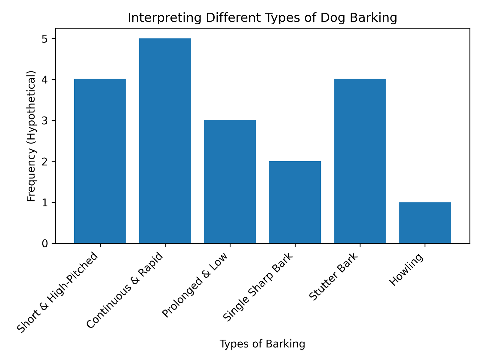 Understanding Dog Body Language - DW Dog Training