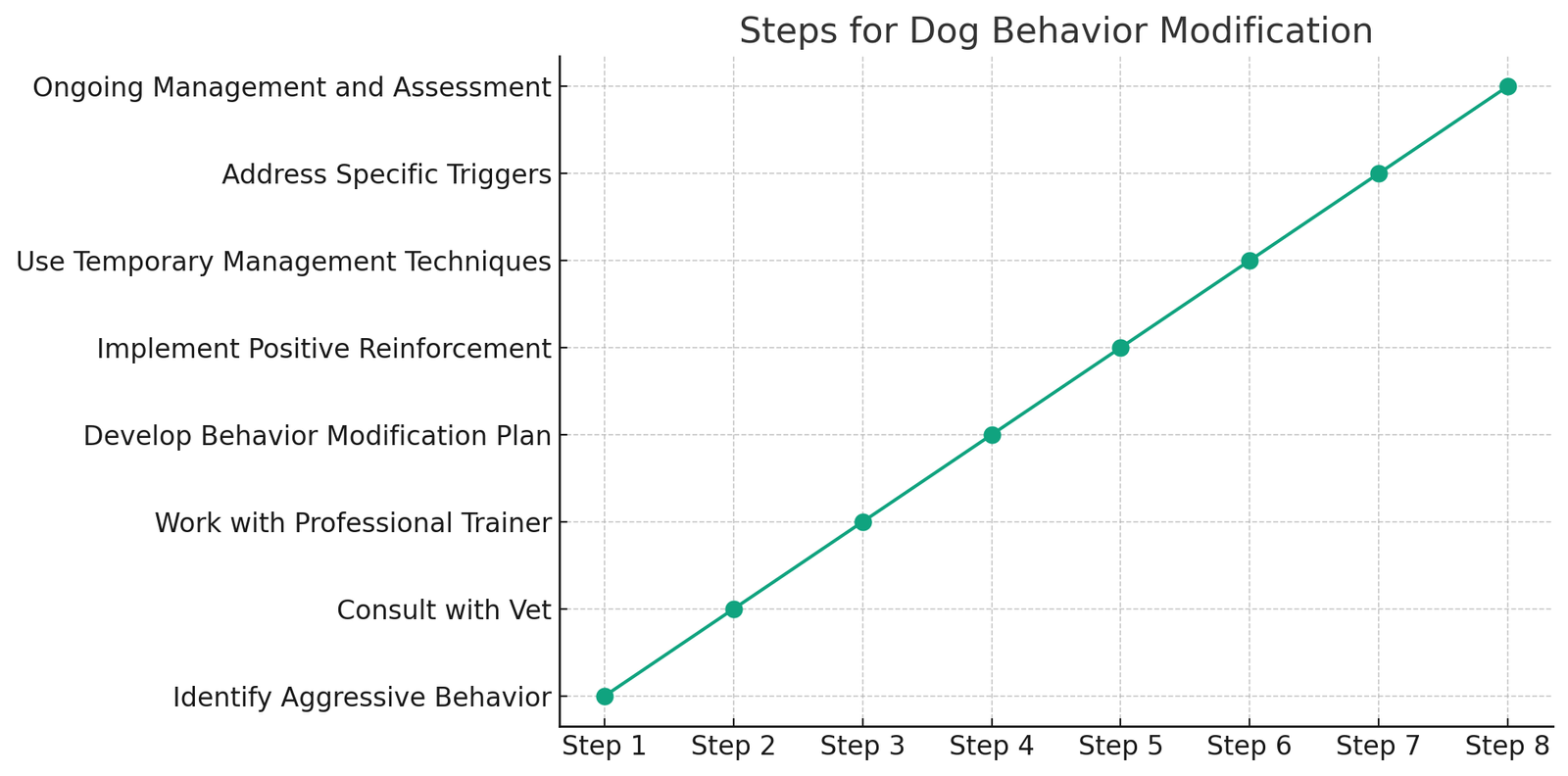 Dog Aggression Solutions: A Complete Guide to Stopping Aggressive ...