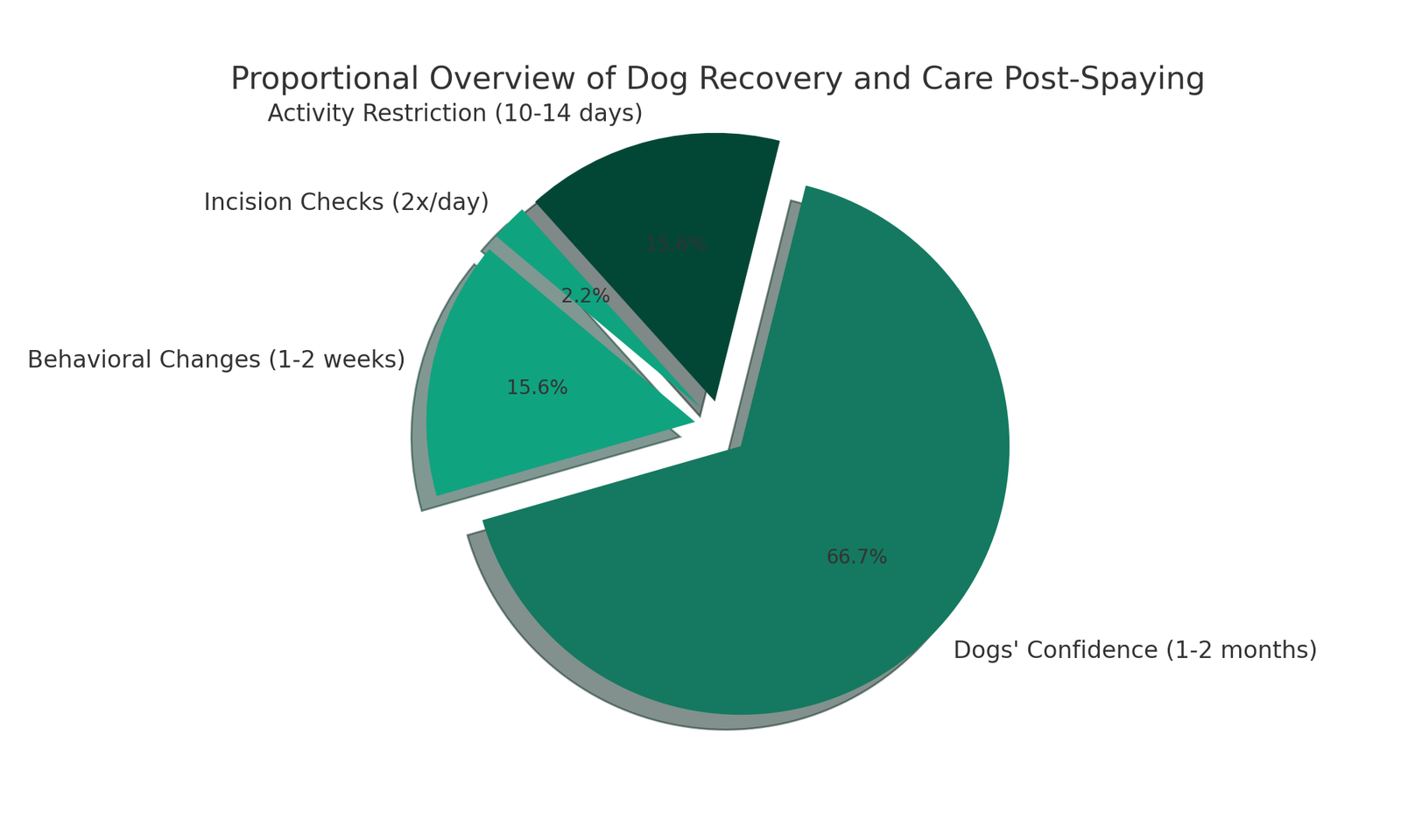Dog Aggression After Surgery: Professional Insights into Post-Operative ...