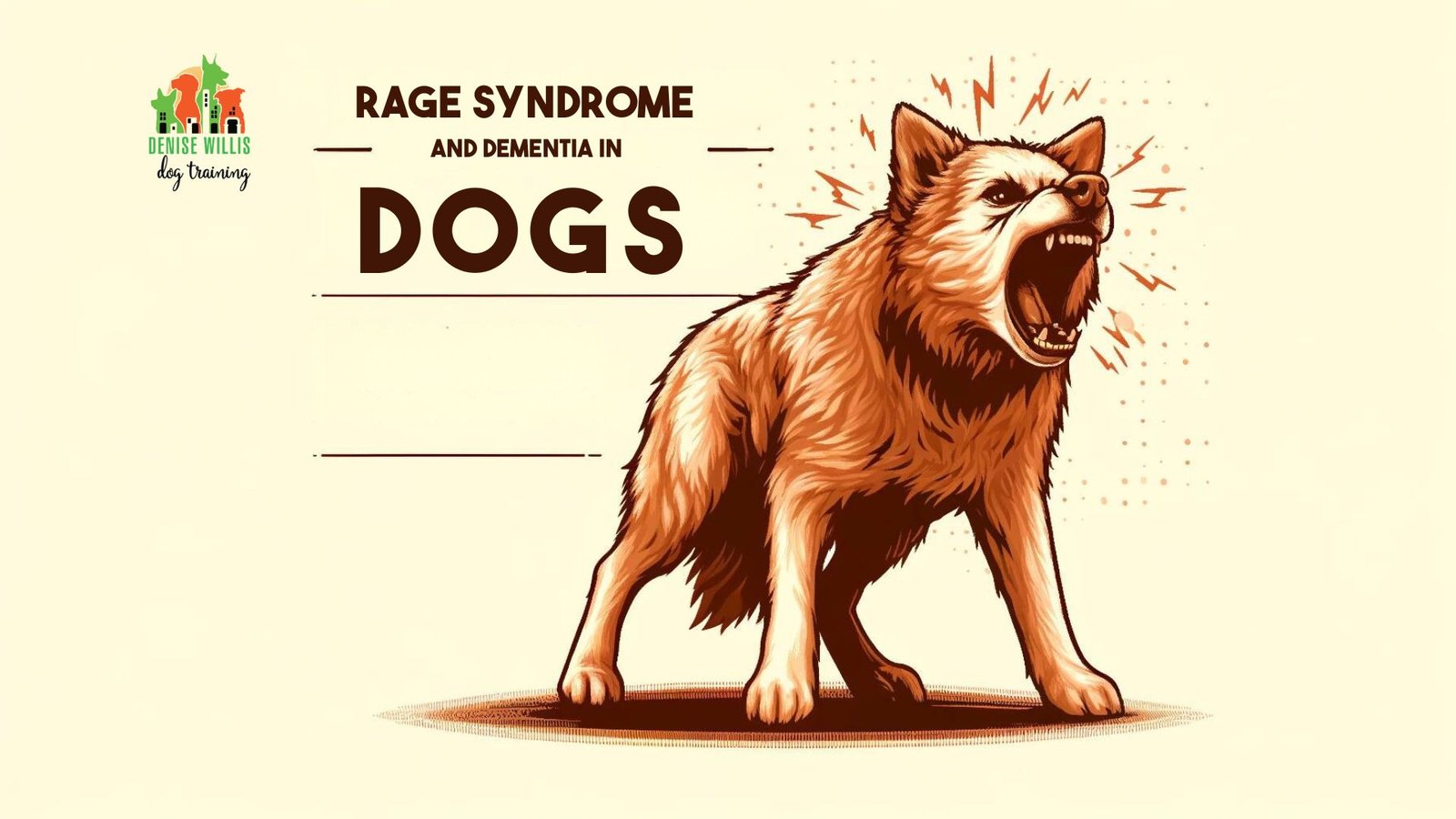 Is Your Senior Dog Suddenly Aggressive? Here's What You Need to Know ...