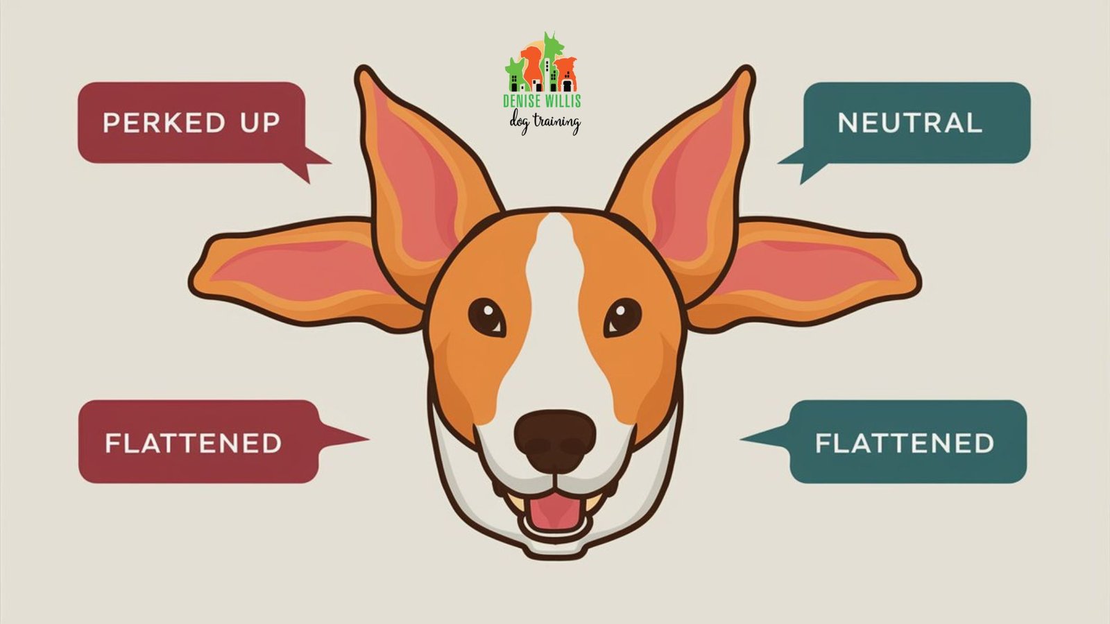 Decoding Your Dog: 15 Body Language Signals You Need to Know - DW Dog ...