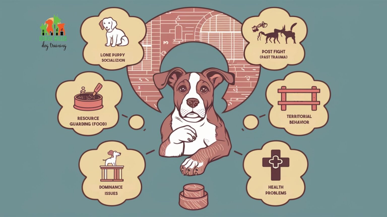 5 Proven Strategies to Stop Your Dog's Aggression Towards Other Dogs ...