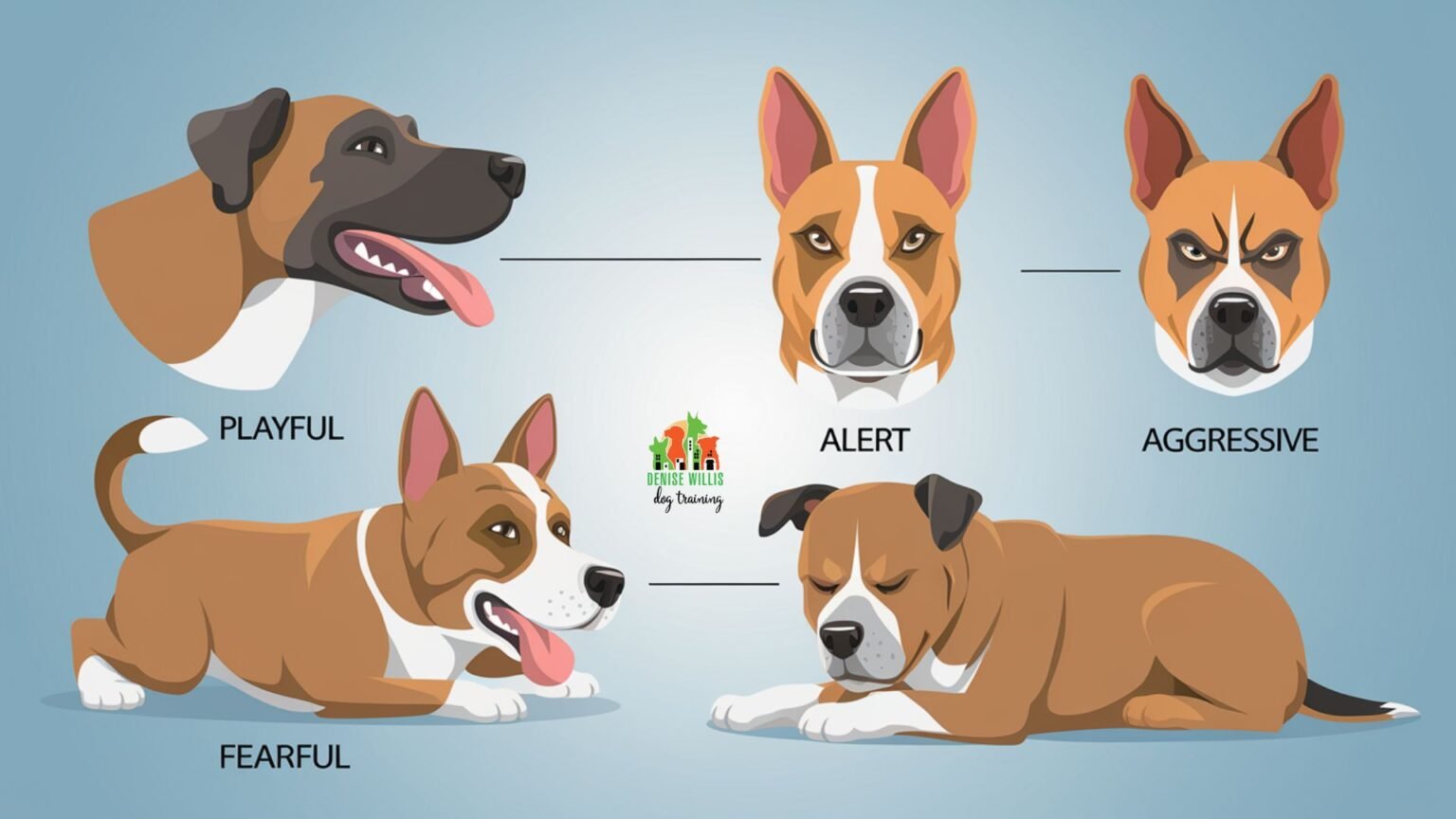 5 Reasons Your Dog is Aggressive at the Dog Park (and What to Do About ...