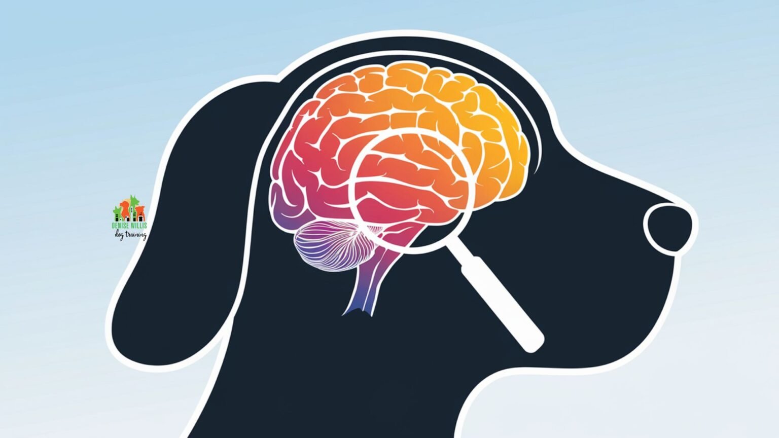 Healing Hearts and Paws: Addressing Trauma-Induced Dog Aggression - DW ...